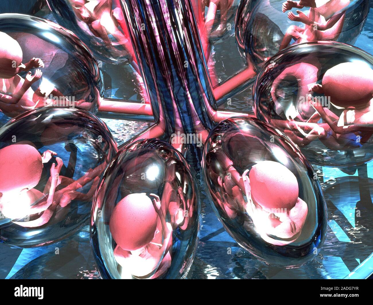 Cloned babies. Conceptual computer artwork of human foetuses developing ...