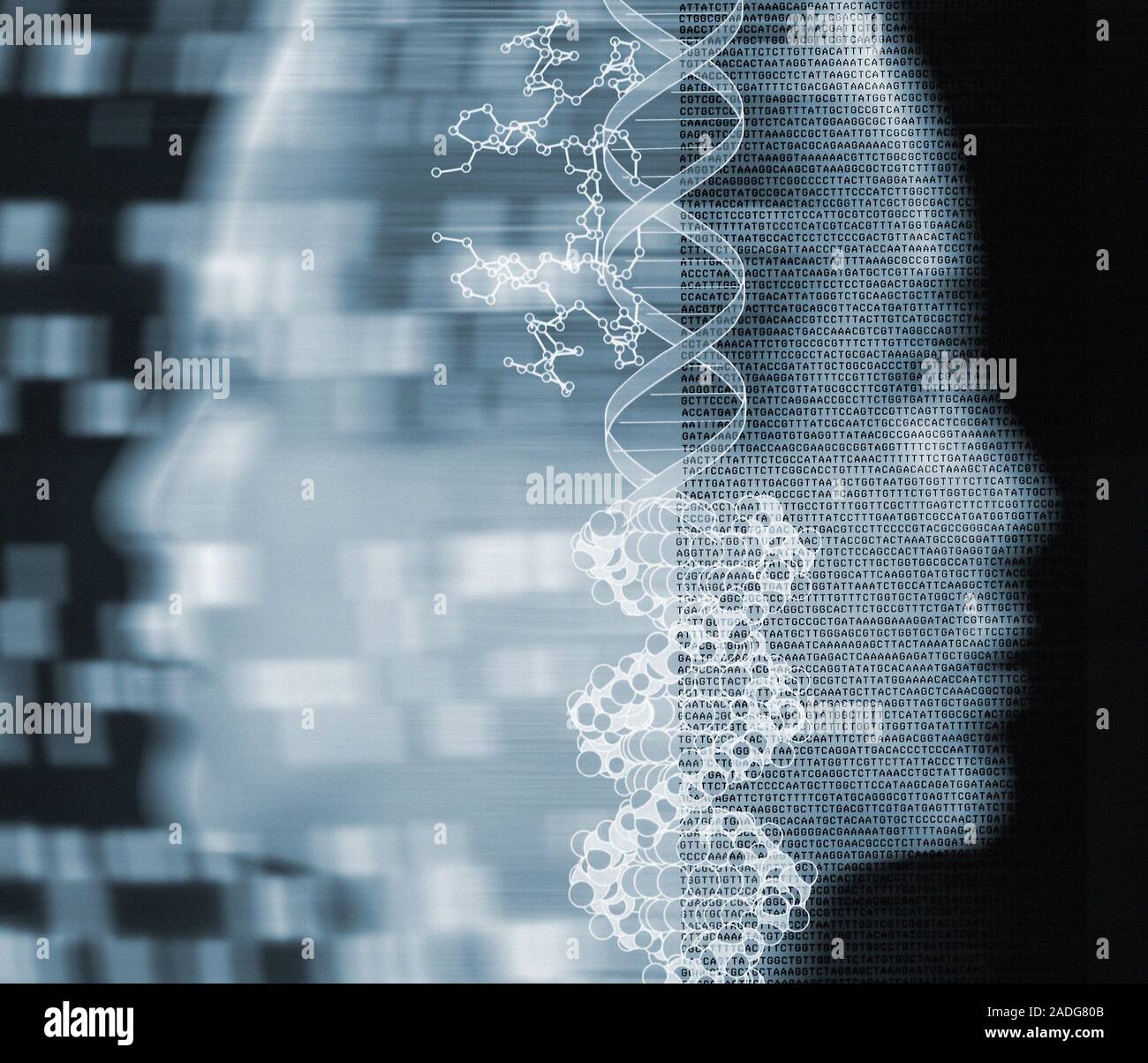 Human cloning. Conceptual computer artwork of two identical female ...