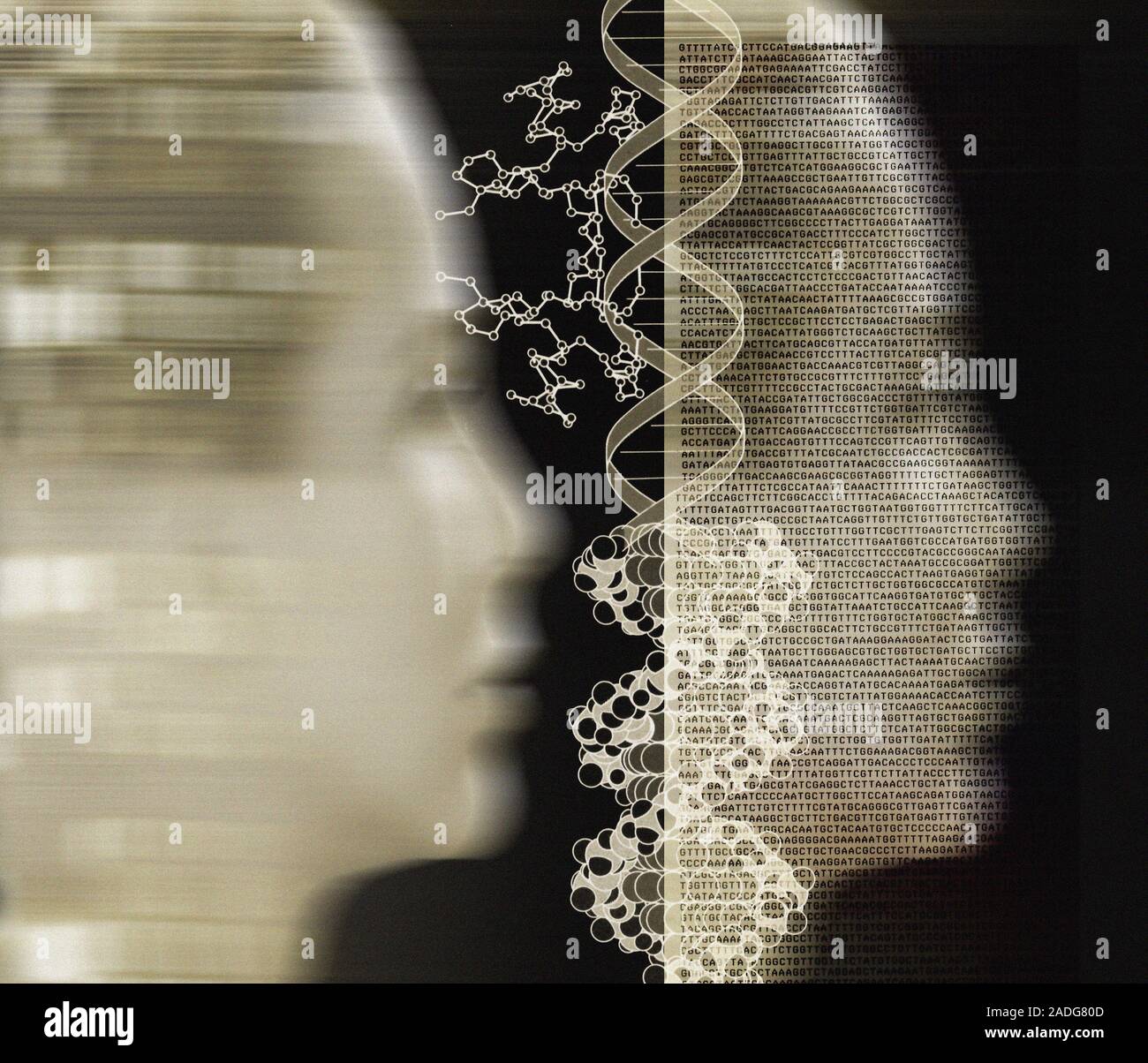 Human cloning. Conceptual computer artwork of two identical female ...