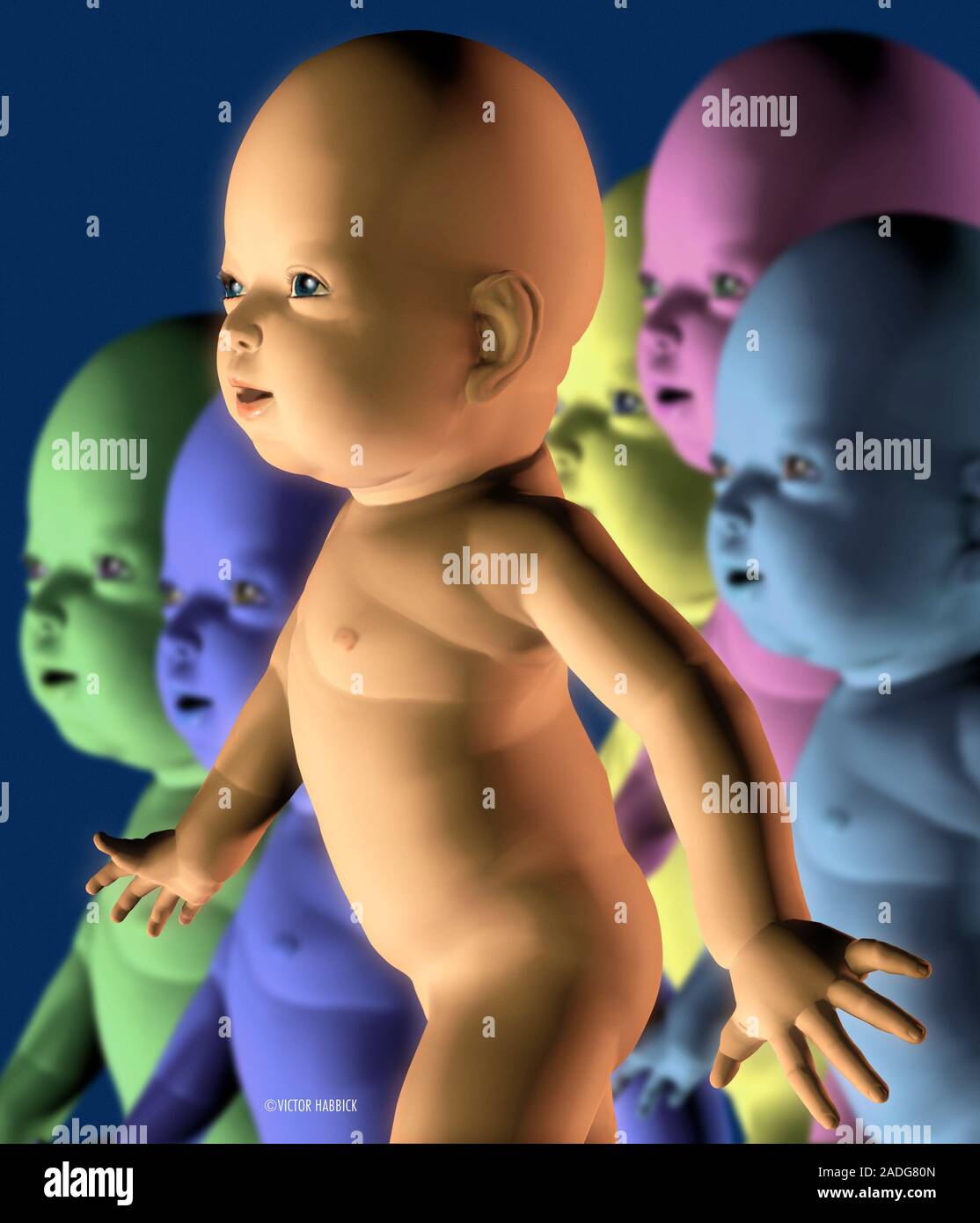 Designer babies. Conceptual computer artwork of identical baby clones ...