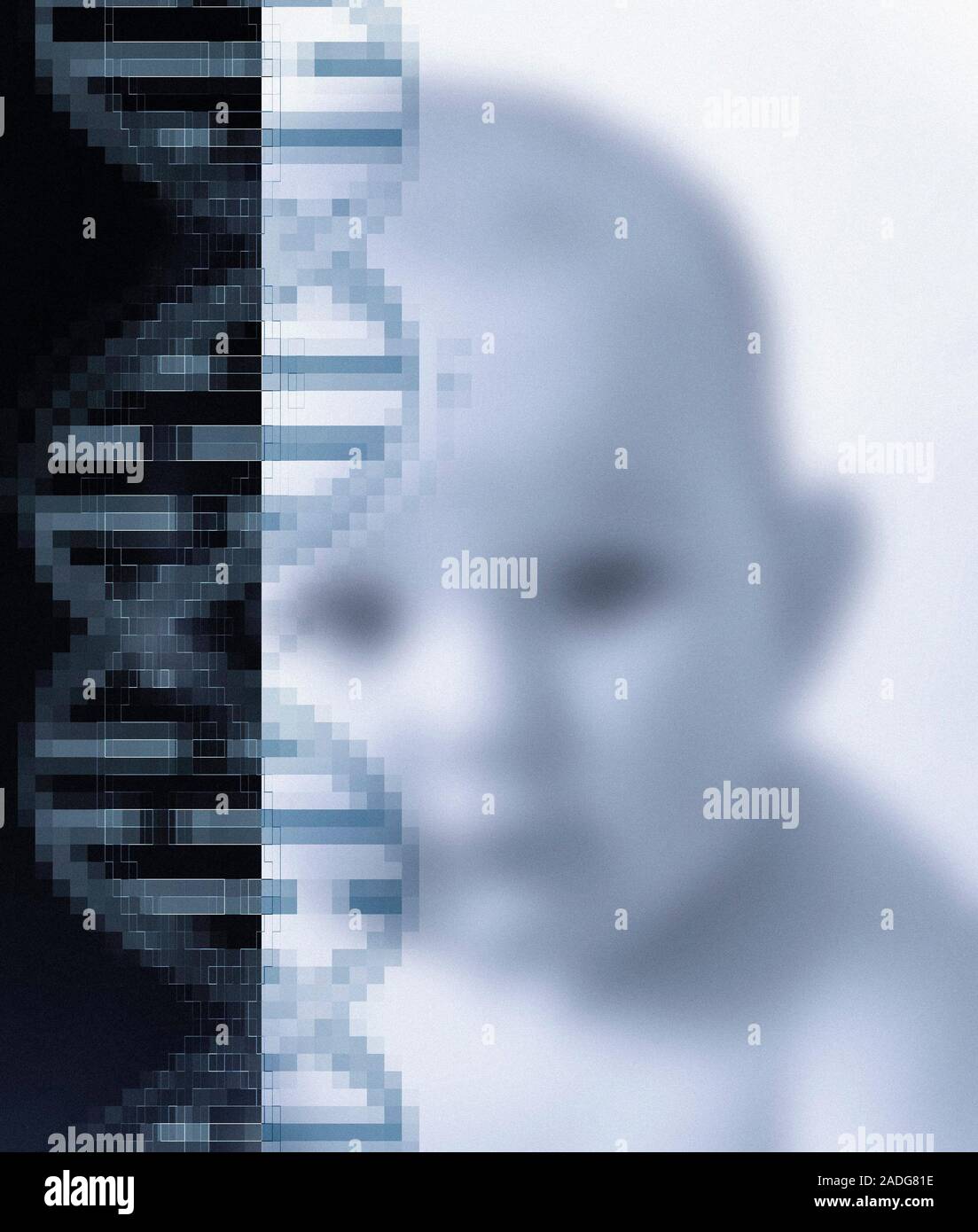 Human cloning. Conceptual computer artwork of a baby's face and part of ...