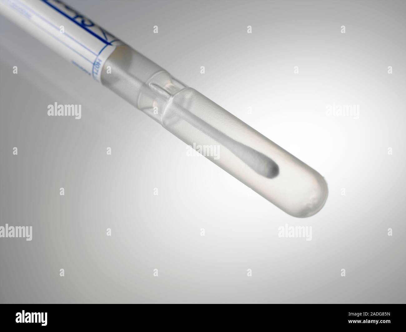 Genetic testing. Sterile cotton swab inside a sample tube. The swab is ...