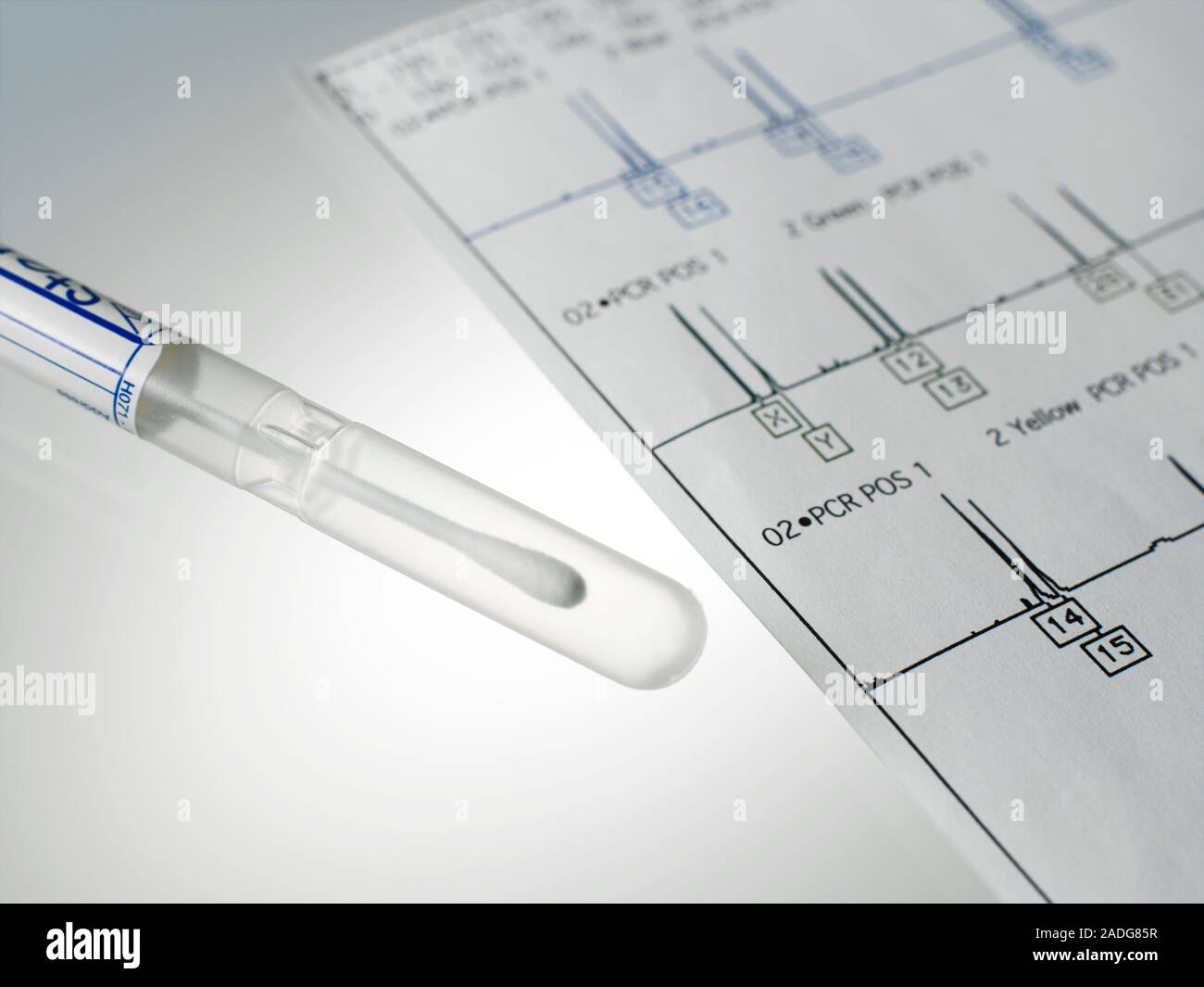 Genetic testing. Sterile cotton swab inside a sample tube, next to the ...
