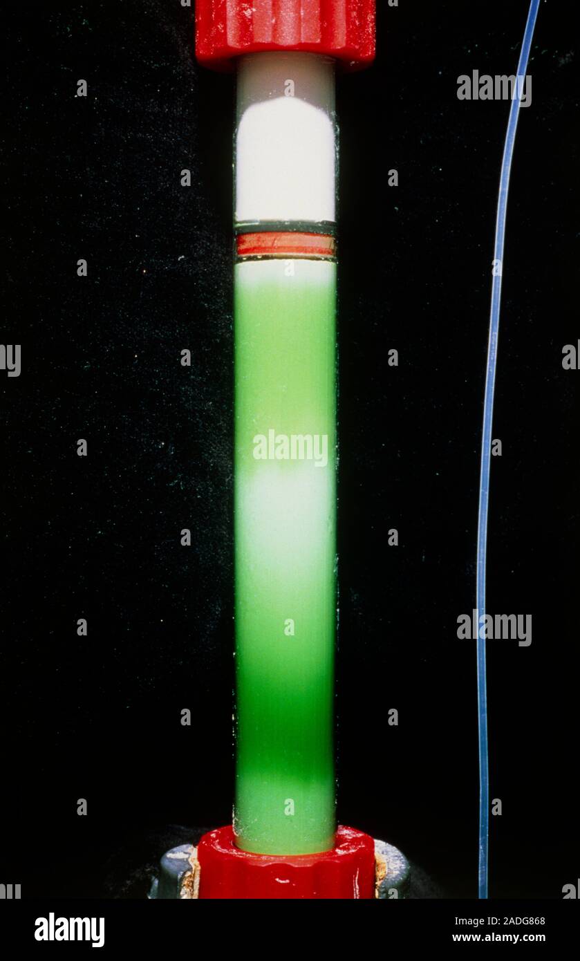 Photosynthesis research: column chromatography equipment being used for ...