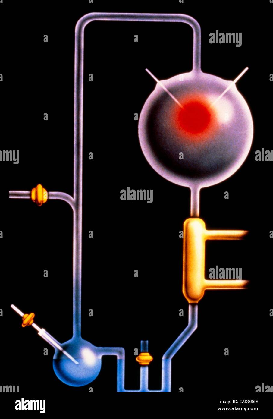Miller-Urey experiment. Illustration showing the apparatus used in the ...
