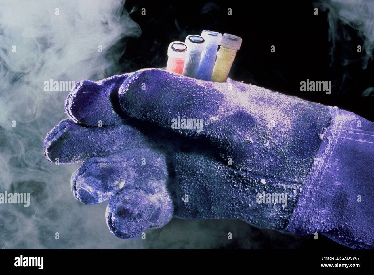 Cold storage. A gloved hand holding sample tubes just removed from cold ...