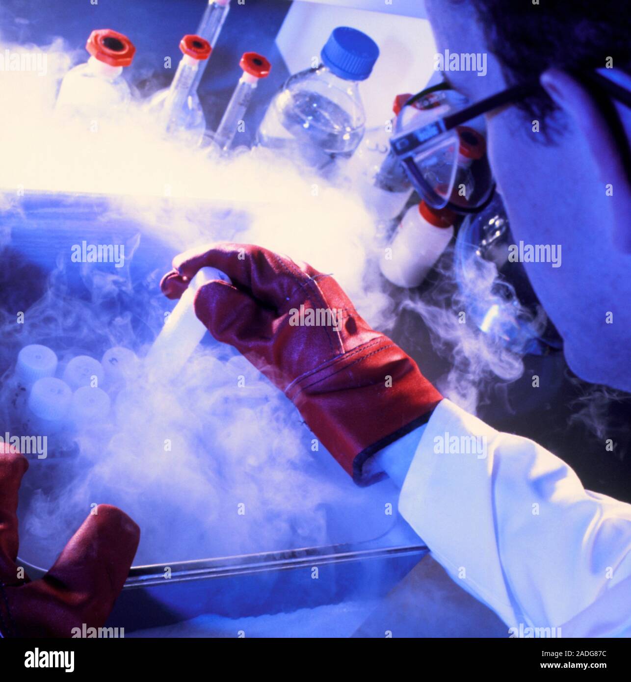 Cryostorage. View of a biological researcher removing a sample tube ...