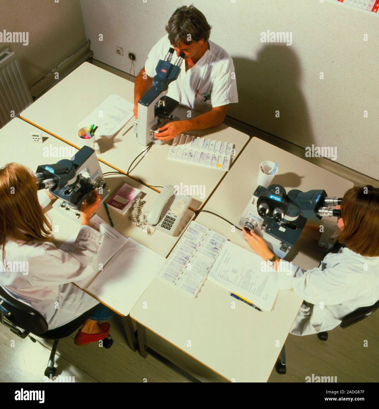 Cytology laboratory. Researchers at binocular light microscopes sit and ...