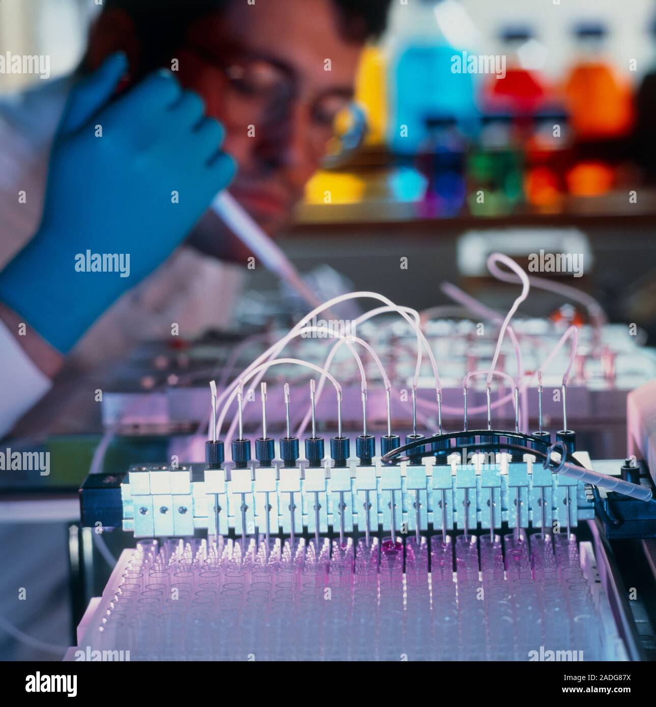 Toxicology research. Researcher placing samples in an auto-sampler ...