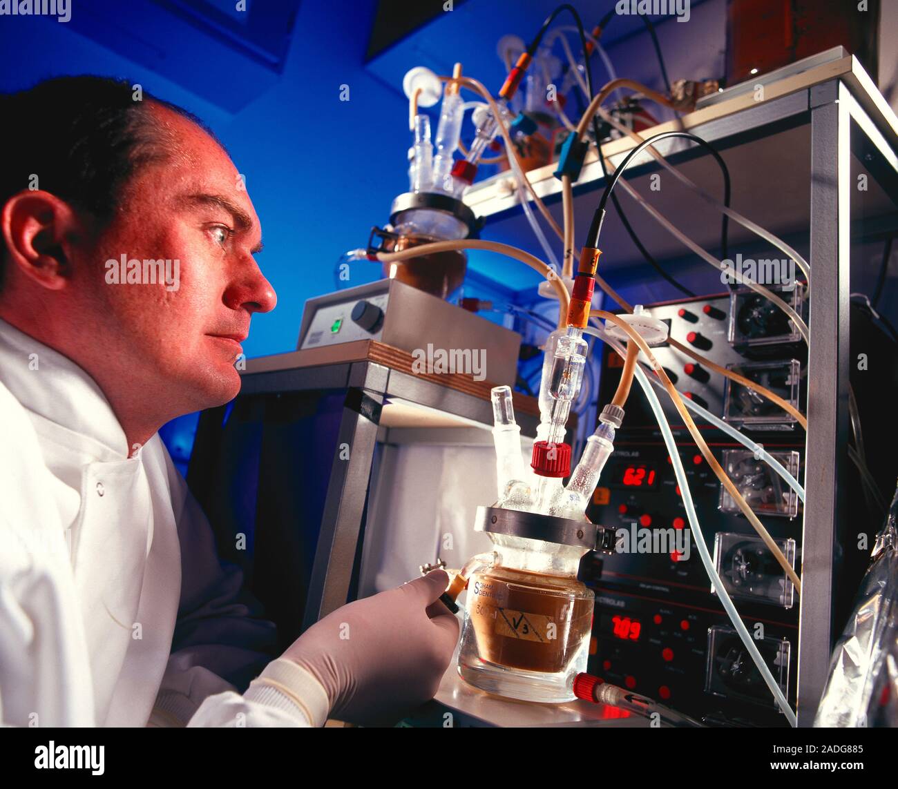 Gut research. Professor Glenn Gibson adjusting an artificial gut that ...