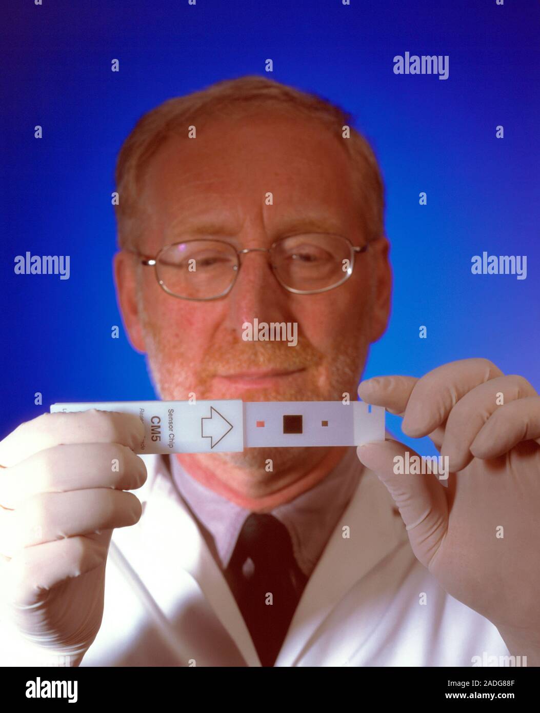 Biosensor chip. Scientist examining a surface plasmon resonance (SPR ...