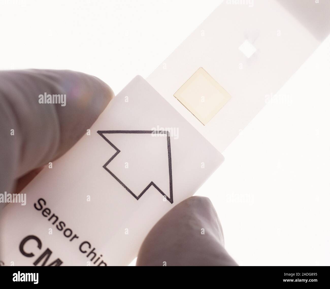 Biosensor chip held in a scientist's gloved hand. This is a surface ...