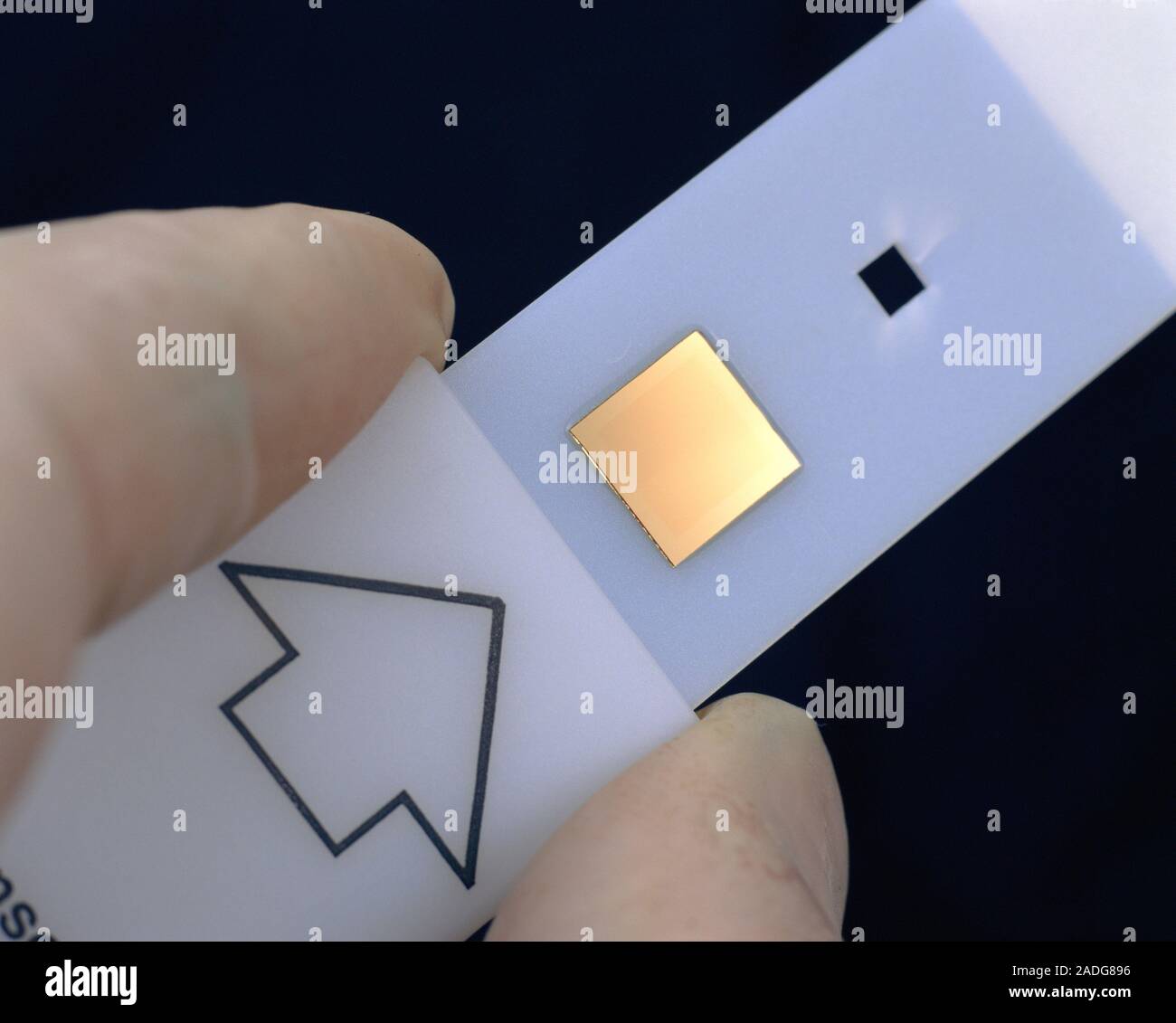 Biosensor chip held in a scientist's gloved hand. This is a surface ...