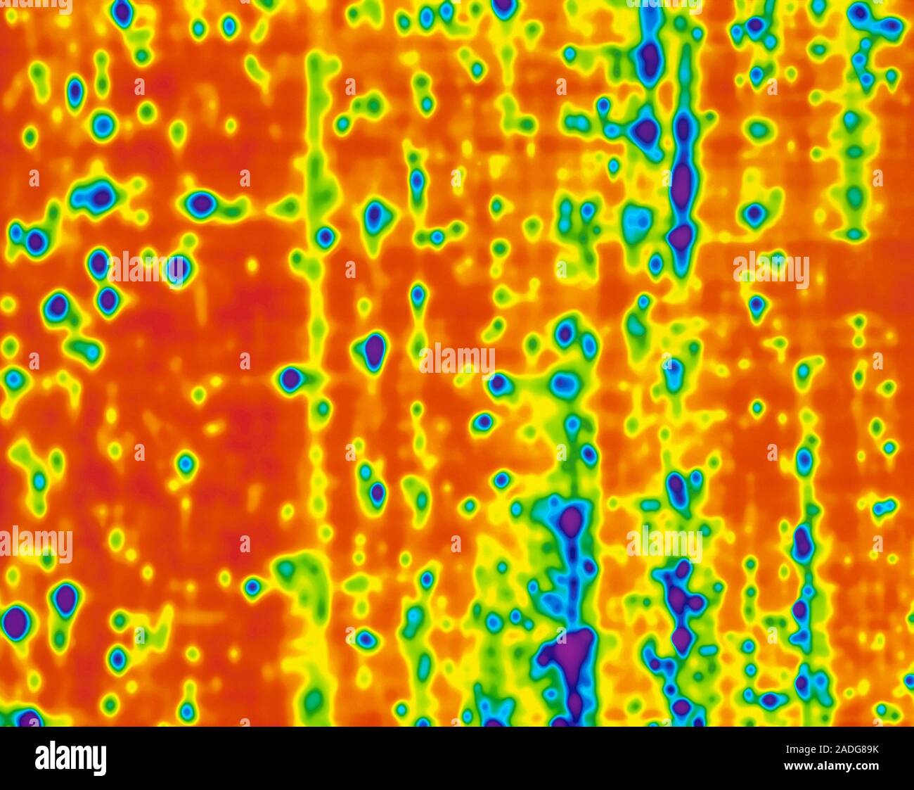 Proteomics research. Computer artwork of the spots of protein produced ...