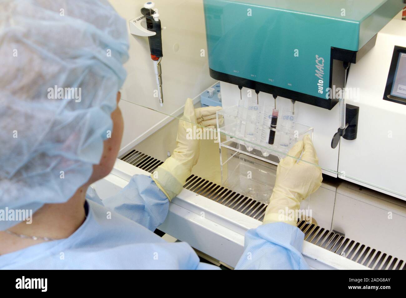 MODEL RELEASED. Cell research. A researcher separating different ...