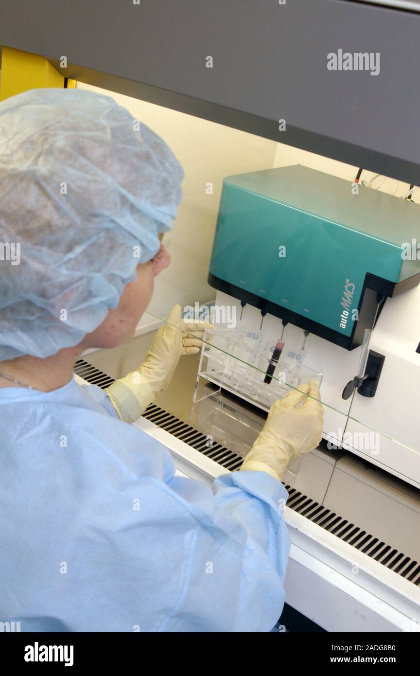 MODEL RELEASED. Cell research. A researcher separating different ...