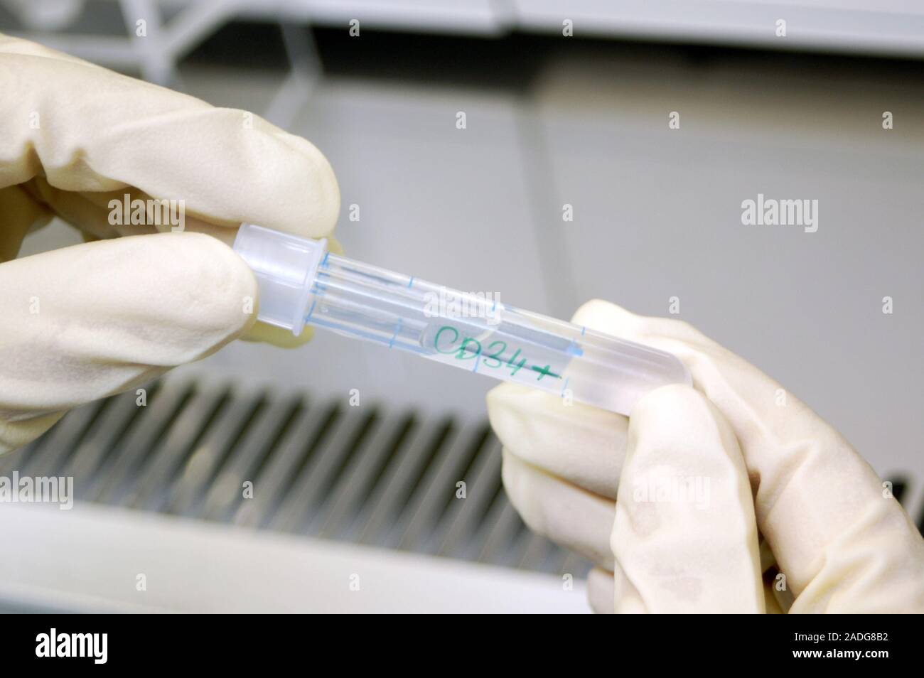 Cell storage. Tube, also known as a cryotube, containing a sample of ...