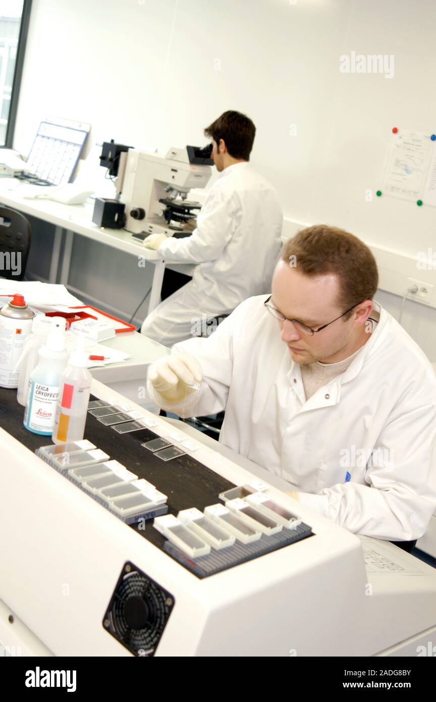 Biological research. Researcher preparing frozen cell samples stored in ...