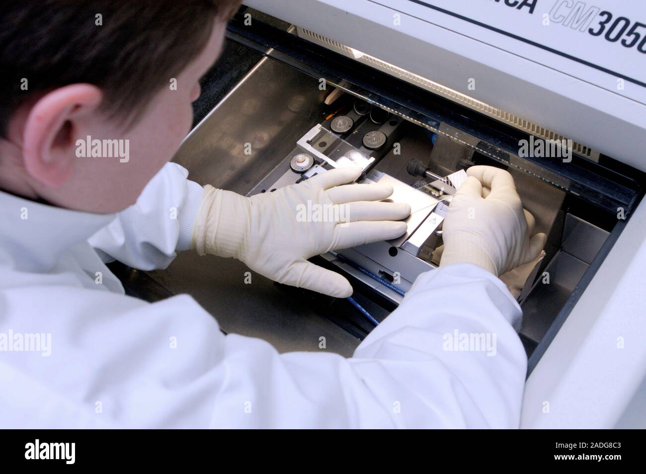 Biological research. Researcher preparing frozen cell samples stored in ...