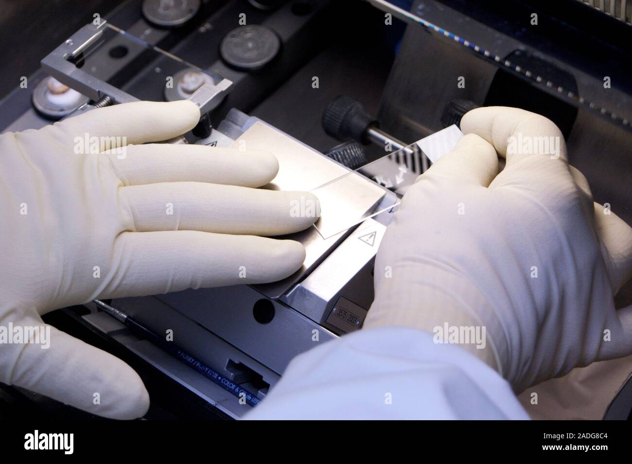 Biological research. Researcher preparing frozen cell samples stored in ...