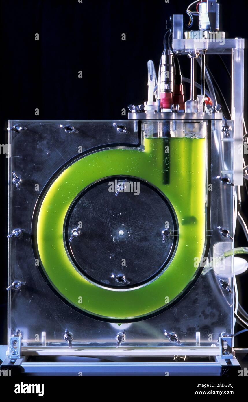 Algal biorector research. Bioreactor using algae (green) to produce ...