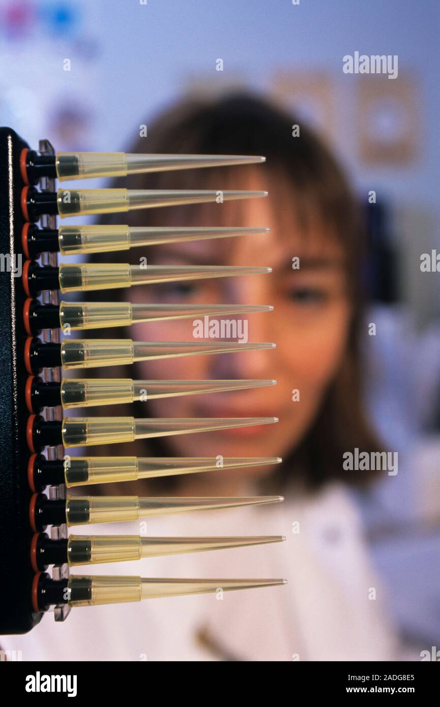 Automated multi-pipette. Row of dispensing tips on an automated multi ...