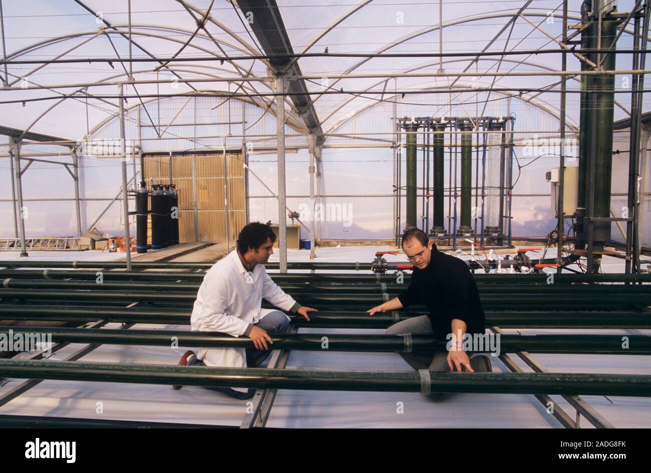 Algae research. Researchers examining experimental units being used to ...