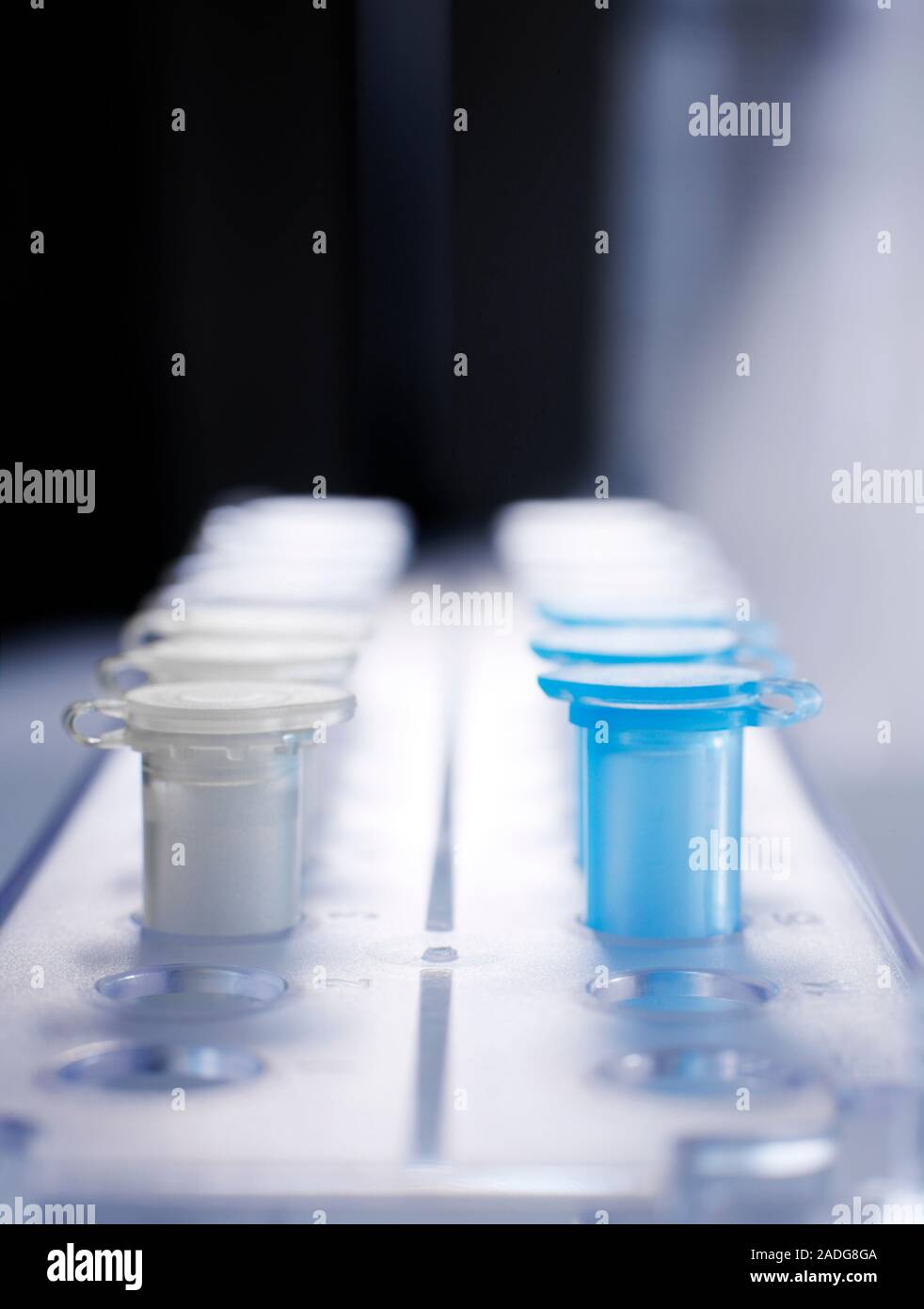 Laboratory equipment. Plastic sample vials held in a rack. This type of ...