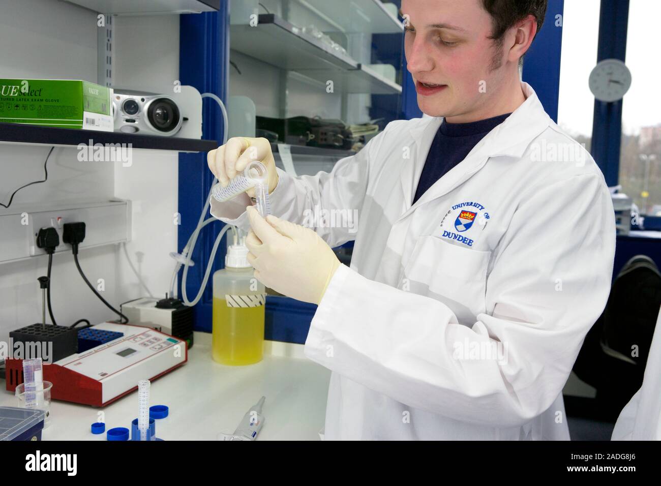 MODEL RELEASED. DNA amplification. Student pouring a sample of DNA ...