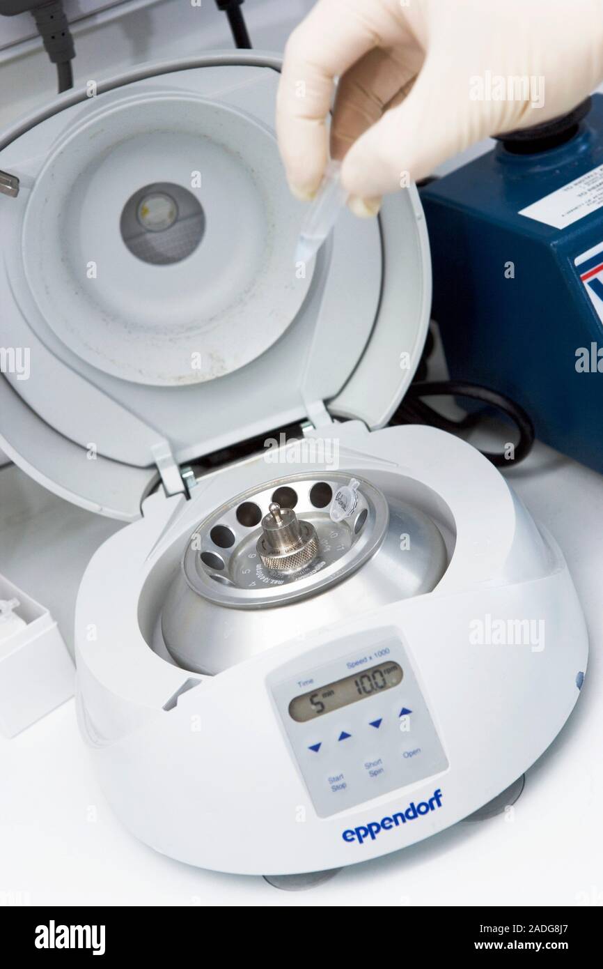Laboratory centrifuge. Sample being placed in a centrifuge. The machine ...