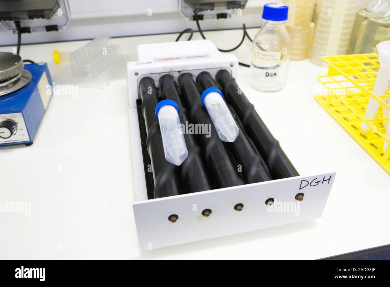 Muscle physiology research. Laboratory equipment being used to study ...