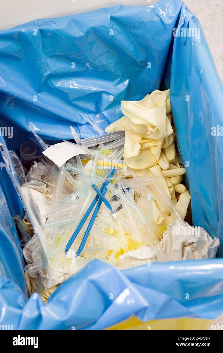Biological waste. Bin full of waste from a biological research ...