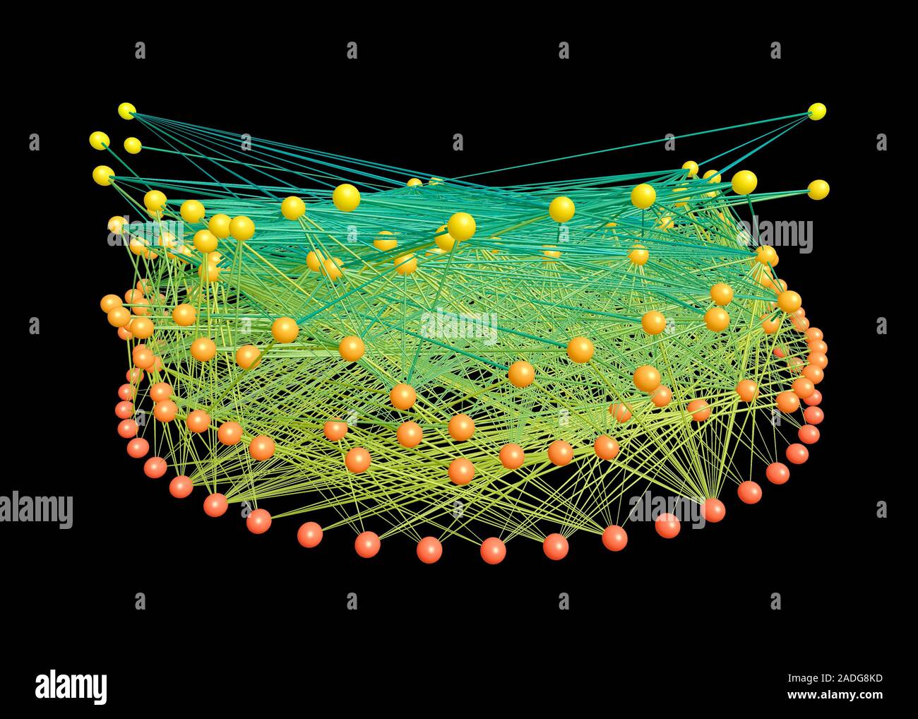 Ecological food web, computer artwork. This model represents the ...