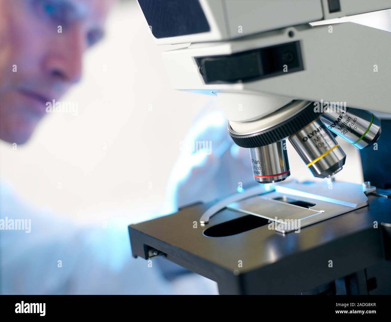 MODEL RELEASED. Microscope use. Scientist using a light microscope to ...