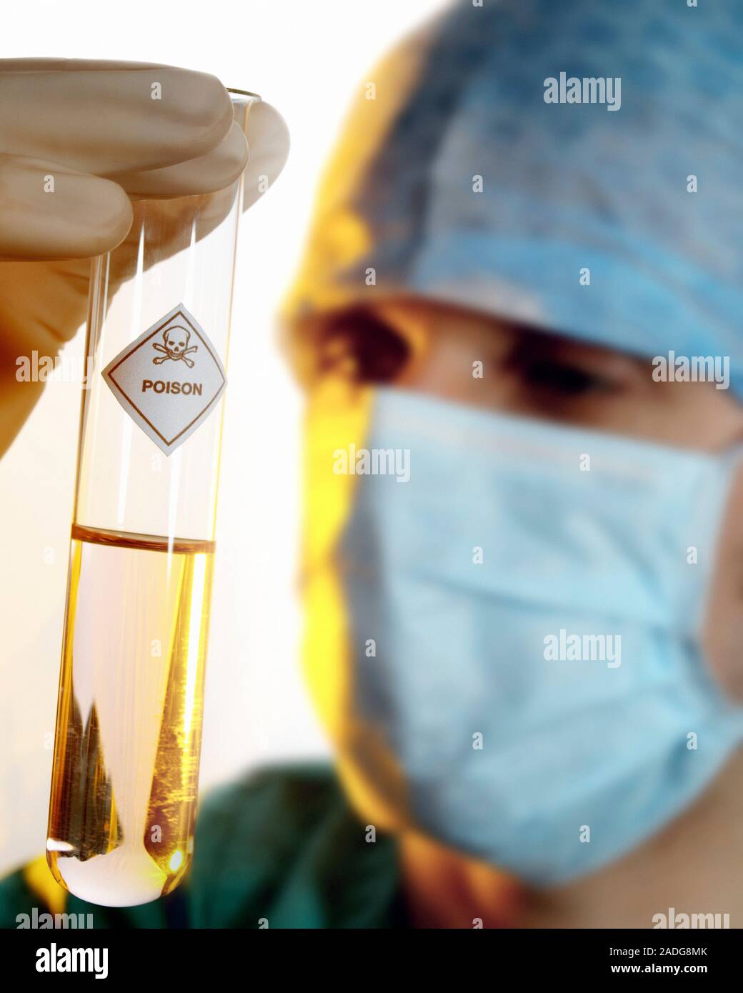 MODEL RELEASED. Biological research. Biologist at work, holding a ...