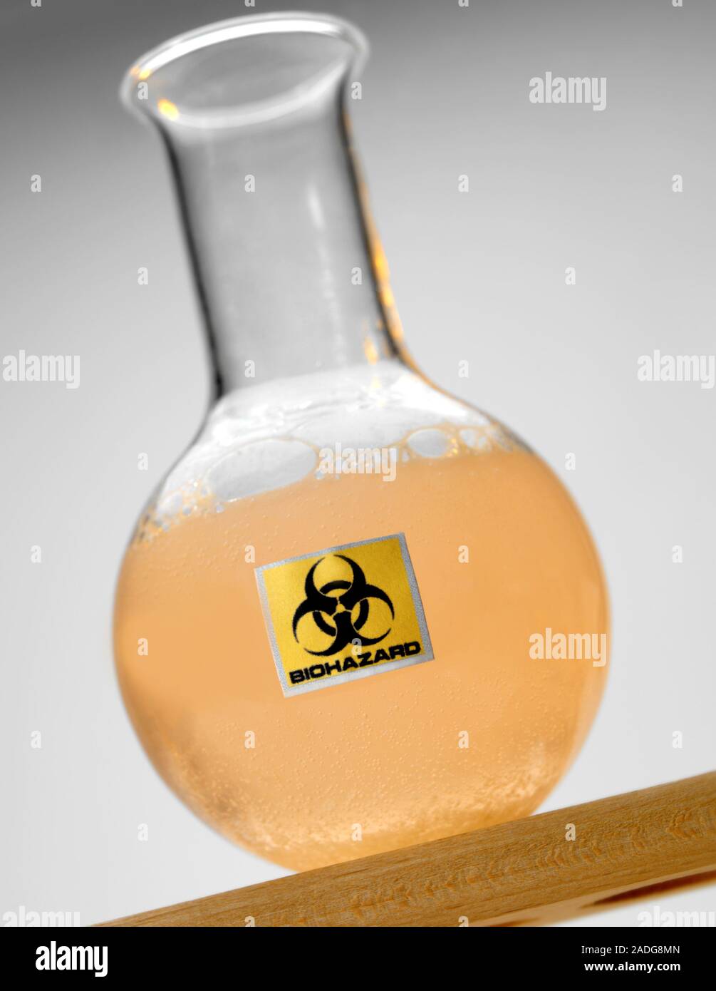 Biological research. Chemical flask labelled with a biohazard symbol ...