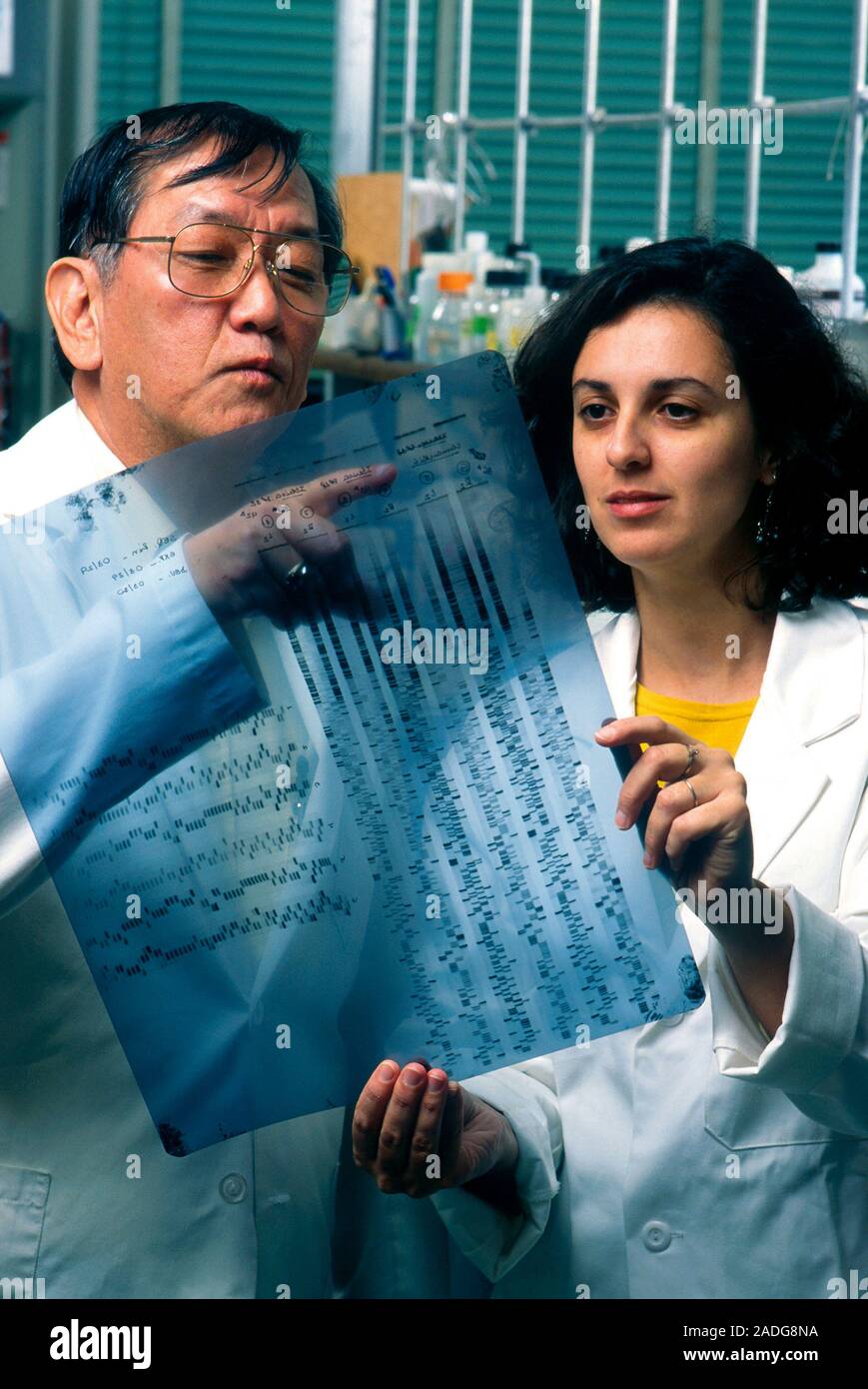 Genetic variation research. Scientists studying DNA (deoxyribonucleic ...