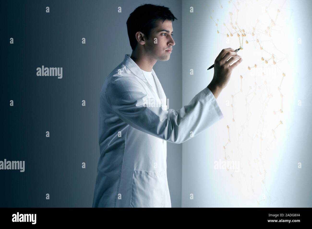 MODEL RELEASED. Protein analysis. Researcher drawing connections in a ... MODEL RELEASED. Protein analysis. Researcher drawing connections in a ...