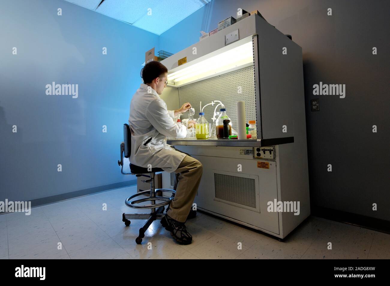 Algae research. Researcher from GreenFuel Technologies, USA, examining ...