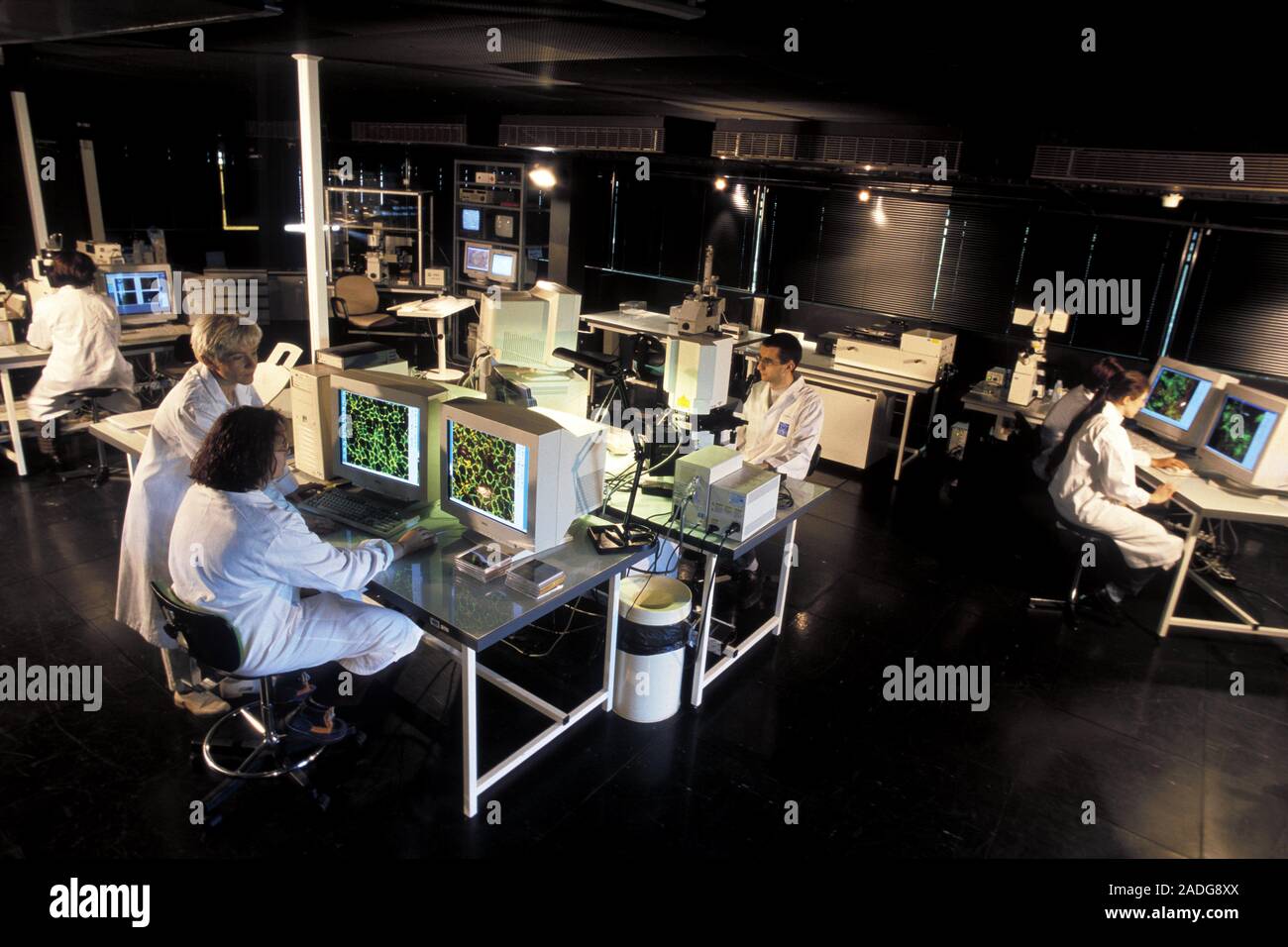 Medical imaging laboratory. Researchers analysing computers showing ...
