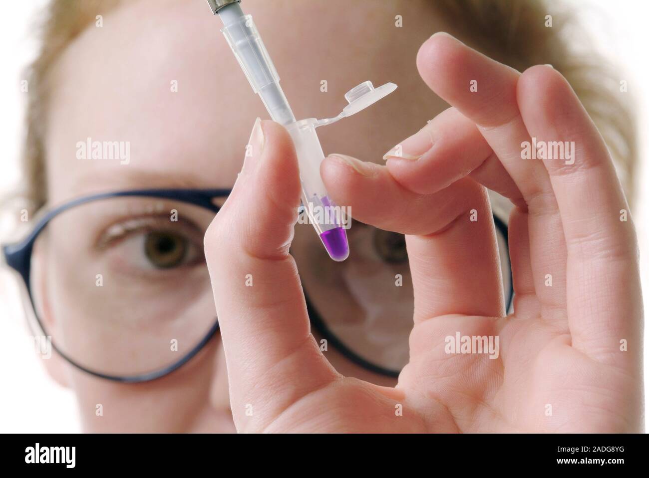 Preparing sample vials. Scientist pipetting liquid into an eppendorf ...