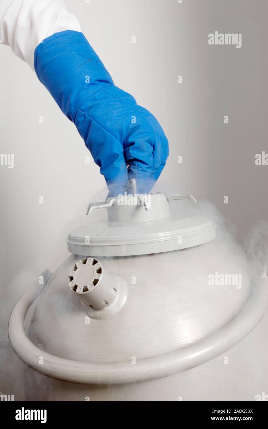 Toxicology research. Researcher using cryostorage equipment to handle ...