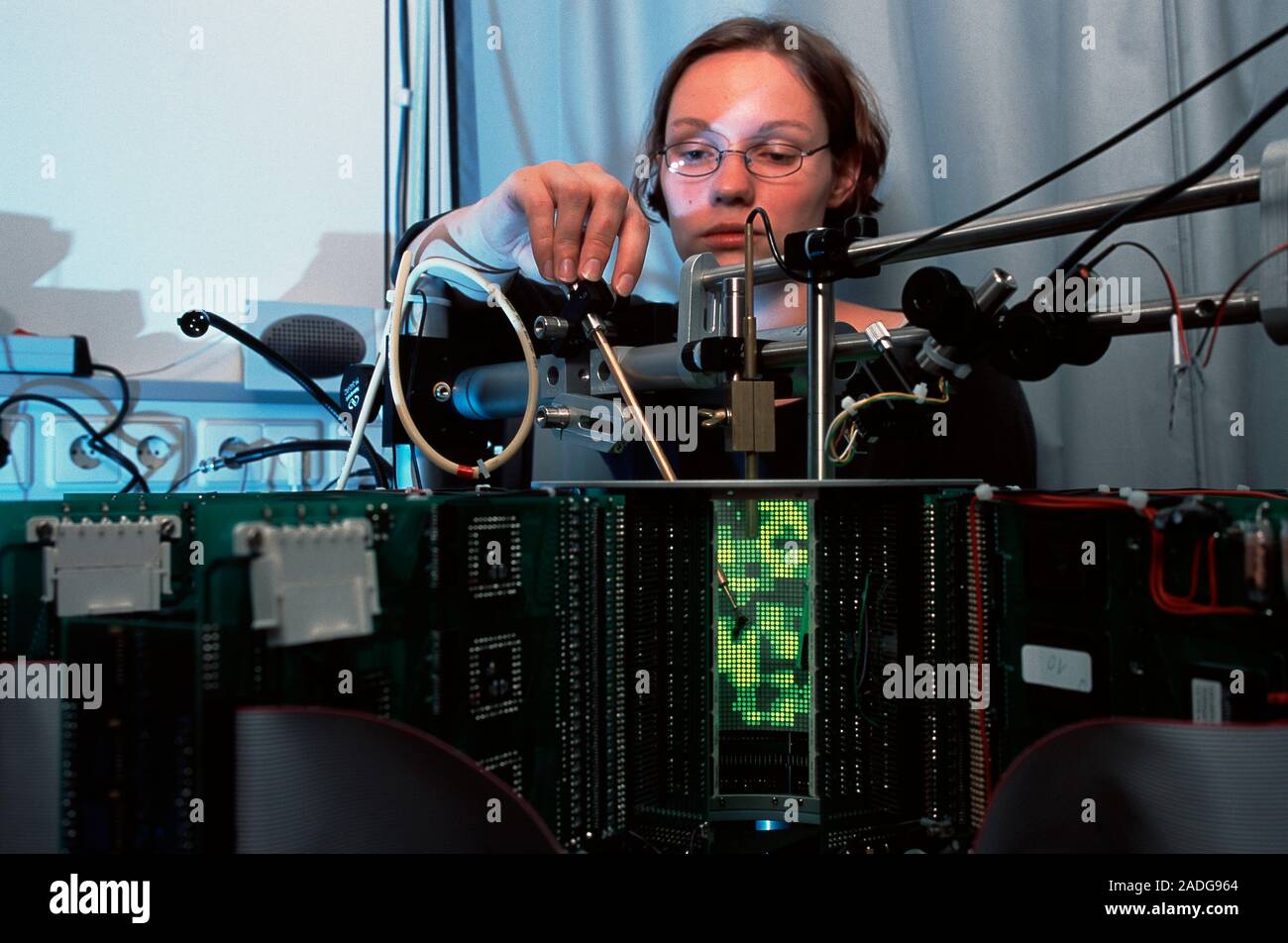 Bee flight simulator. Researcher setting up a flight simulator for an ...