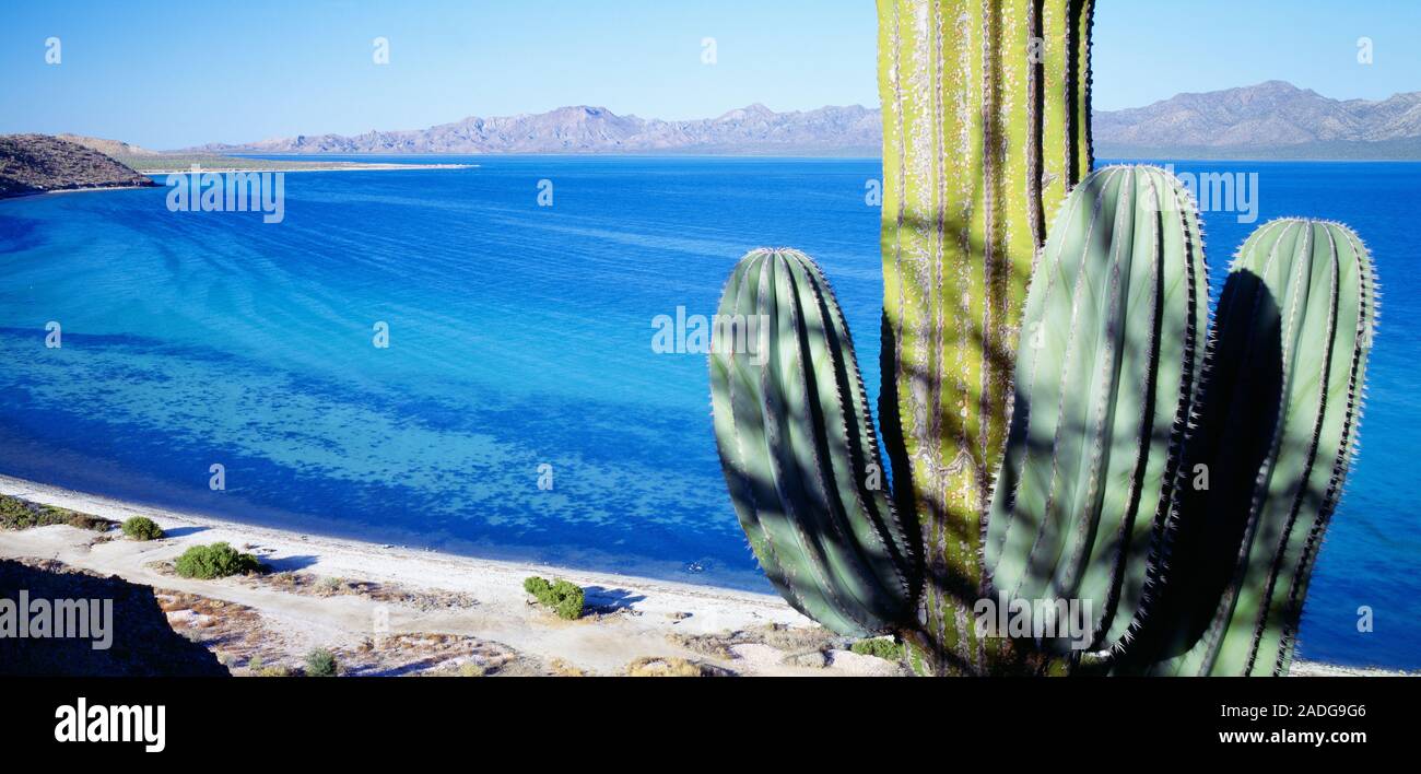 Bahía concepcion baja california hi-res stock photography and images ...