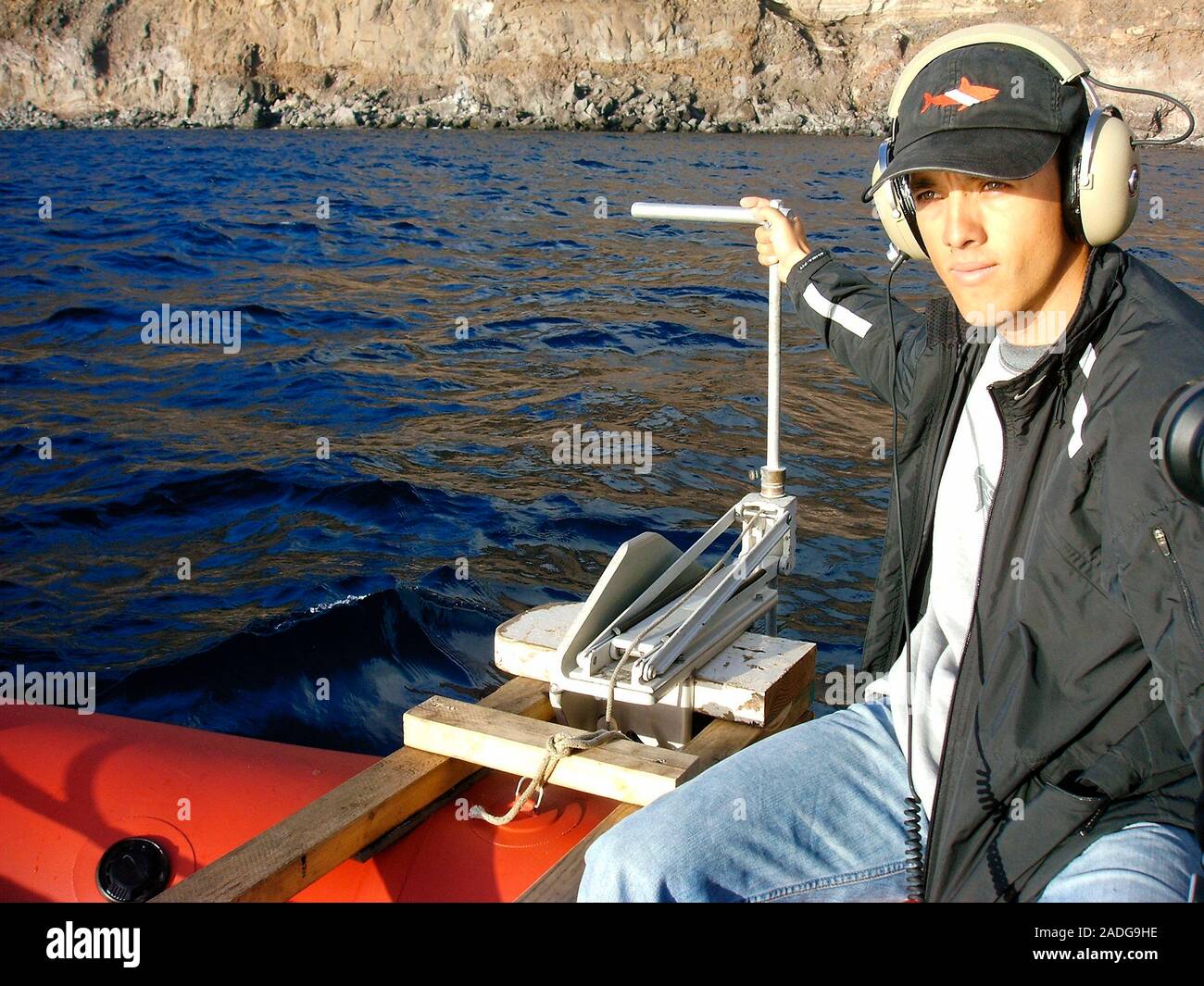 Great White shark research. Researcher listening for shark movement ...