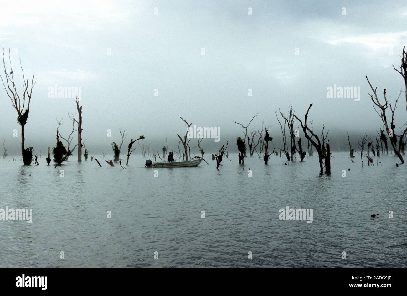 Hydrobiology research. Scientists in a boat monitoring a water ...