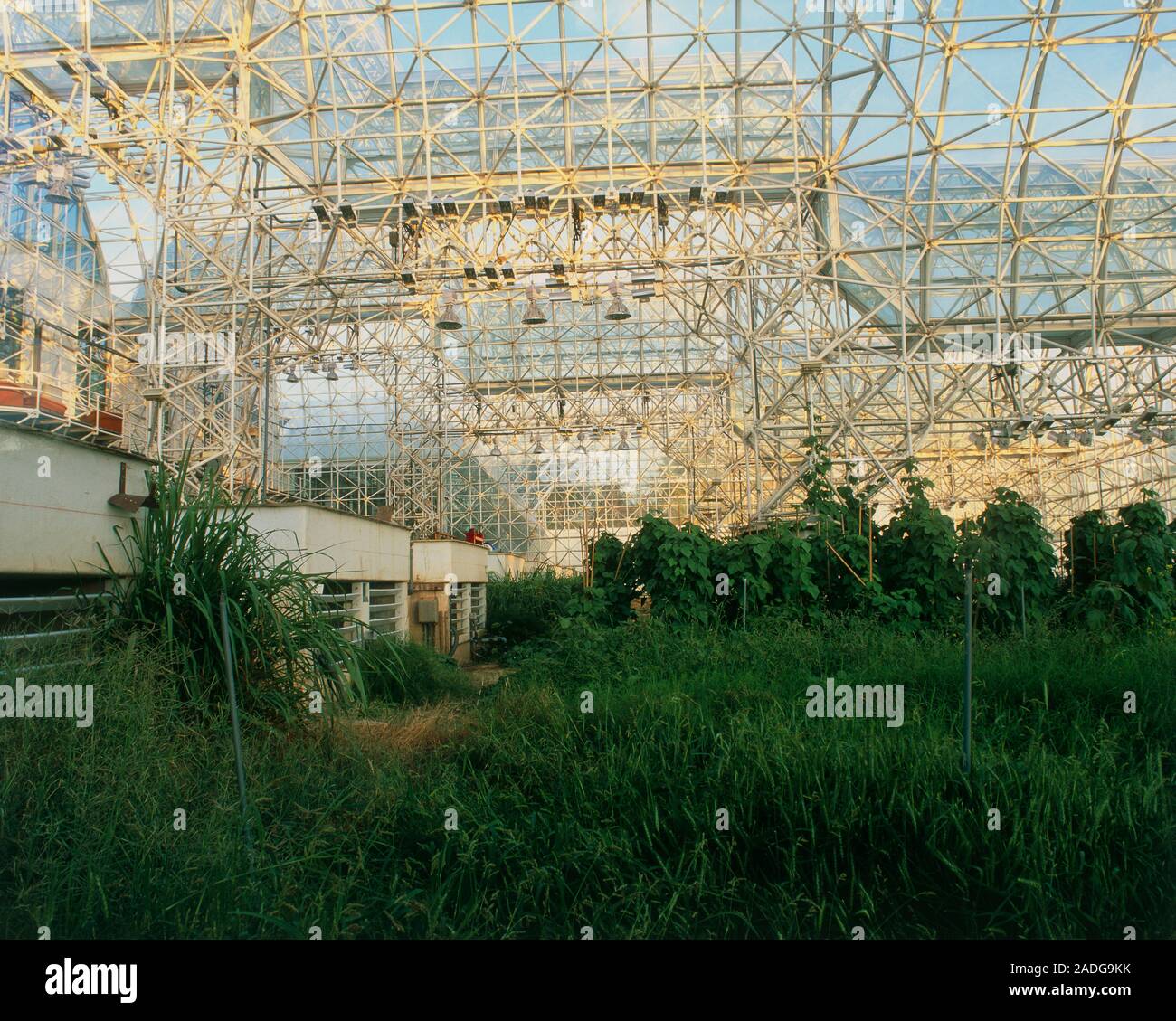 Biosphere 2. Internal view of Biosphere 2, a greenhouse-like building ...