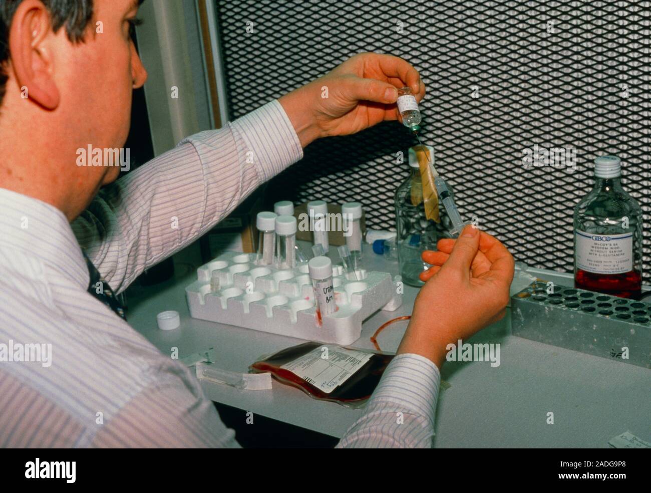 Preparation of Campath 1 monoclonal antibodies prior to mixing with ...