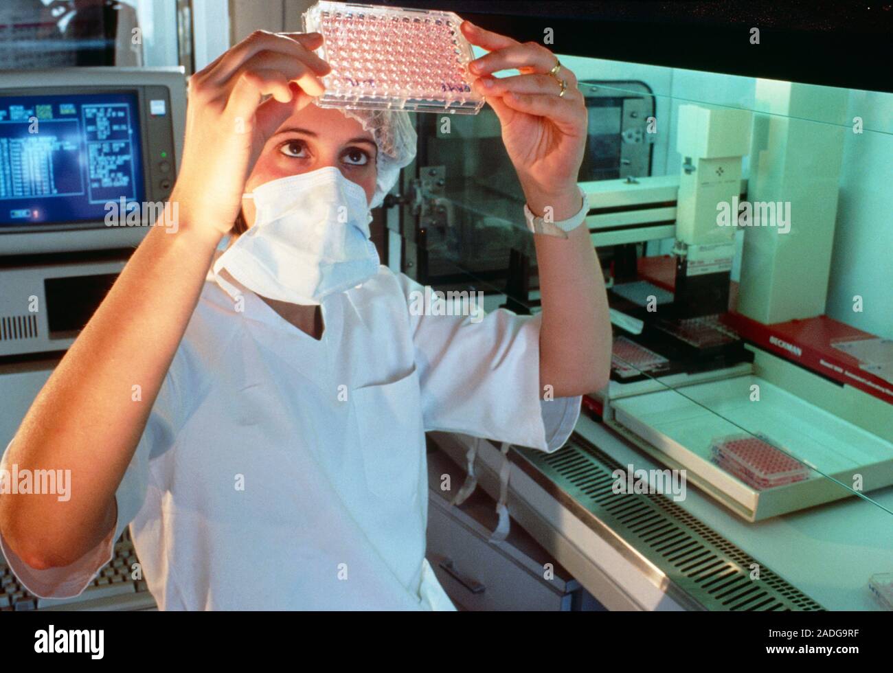 Immunotherapy for cancer: scientist examining wells containing cell ...