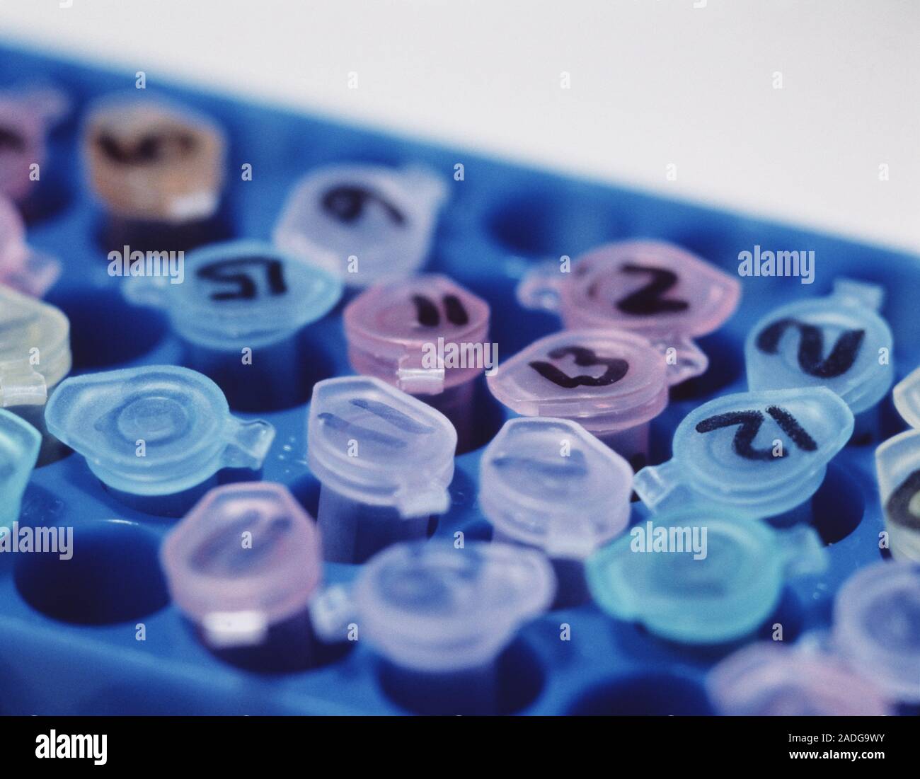 Stem cell bank. Labelled vials of embryonic stem cells at a stem cell ...